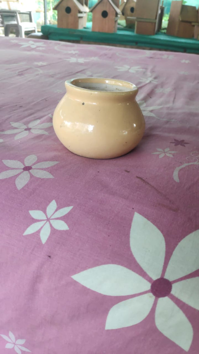 Ceramic Pot: Matki – Growing Green